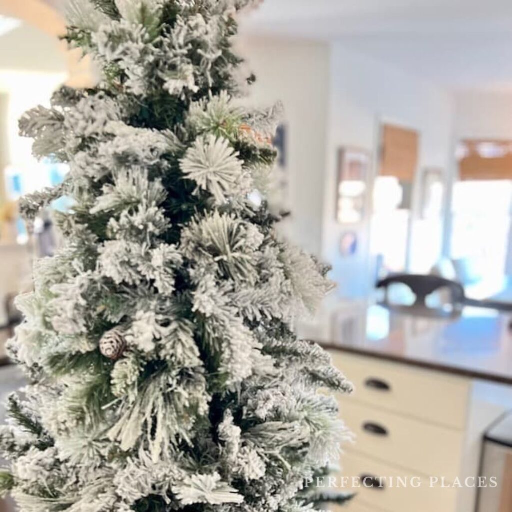 How to Make Christmas Trees with Borax - Perfecting Places