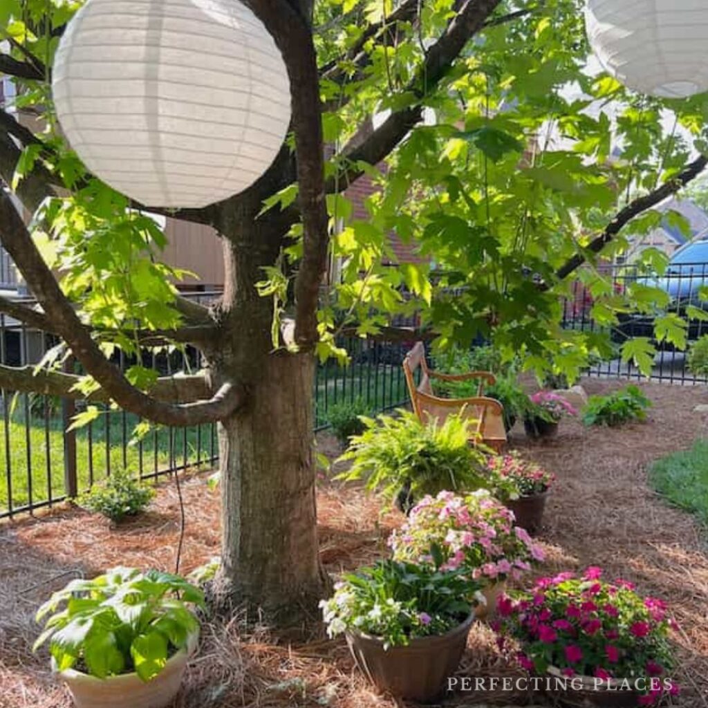 Easy Backyard Container Garden Ideas for Under a Tree - Perfecting Places