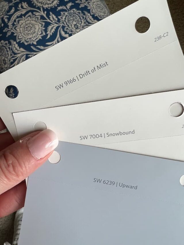 Sherwin-Williams Upward (SW Color of the Year 2024) - Perfecting Places