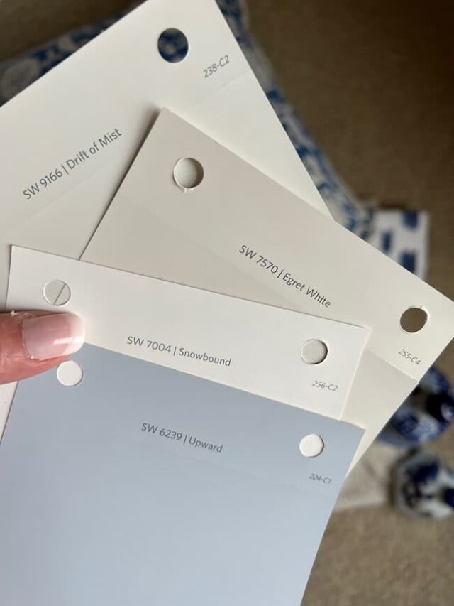 Sherwin-Williams Upward (SW Color of the Year 2024) - Perfecting Places